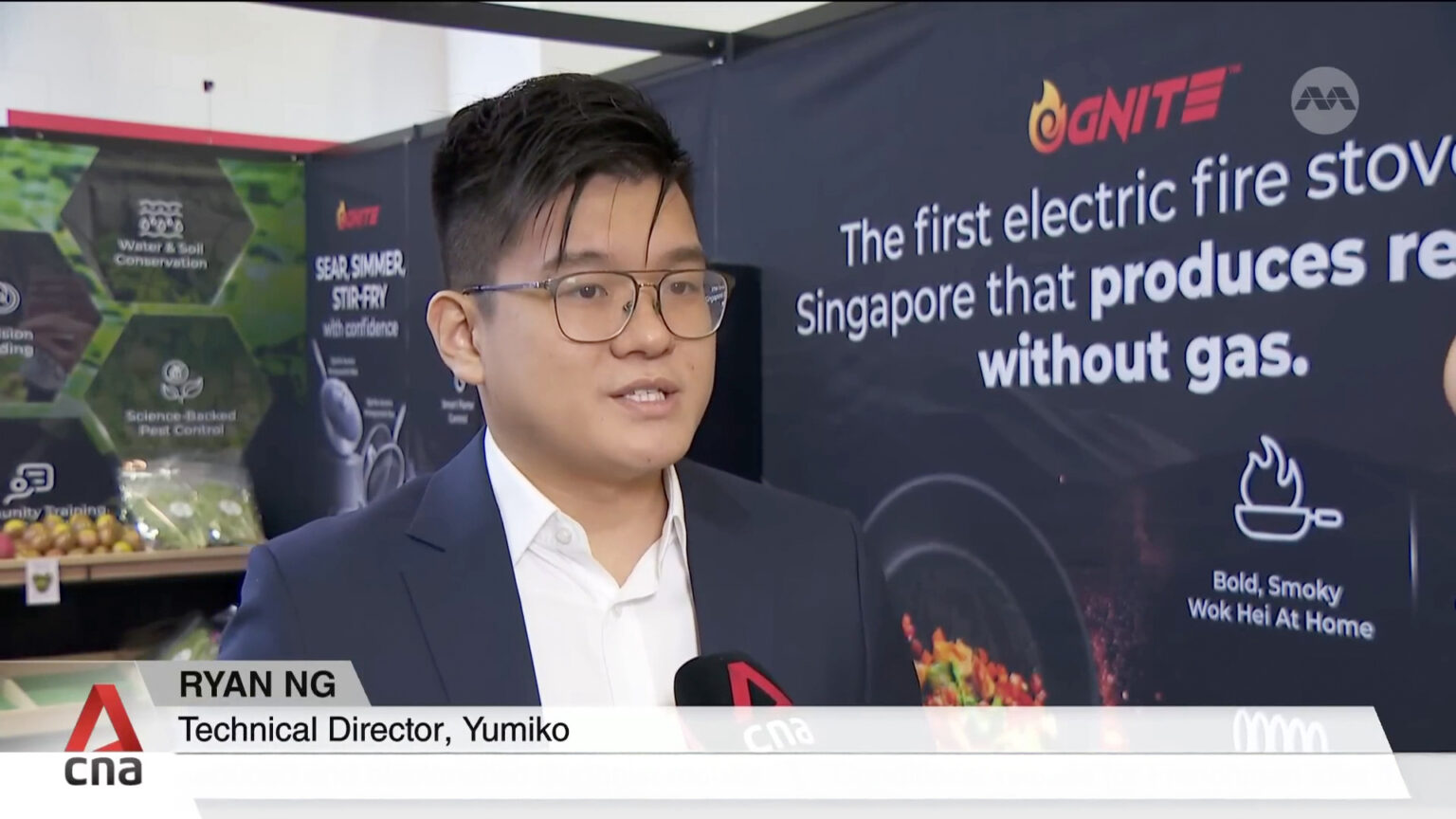 Egnite - Electric Fire Stove Singapore | Plasma Technology